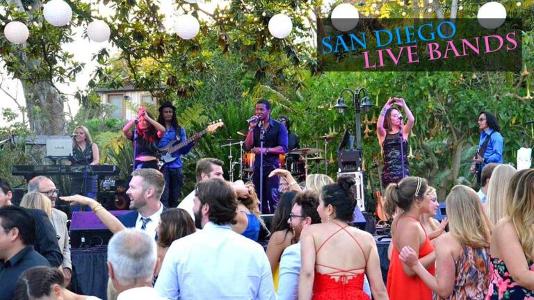 Shades of Blue Band: Amazing Shows Leave Crowds in Awe